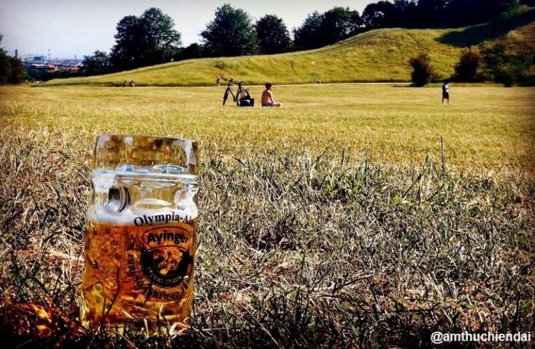 The Complete Guide to Traditional Bavarian Beers - Germany’s Best Brews ...